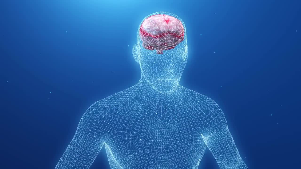 Male Body With Inflamed Brain - Stock Motion Graphics | Motion Array