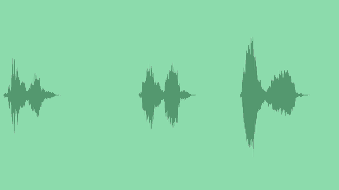 Cuckoo - Sound Effects | Motion Array