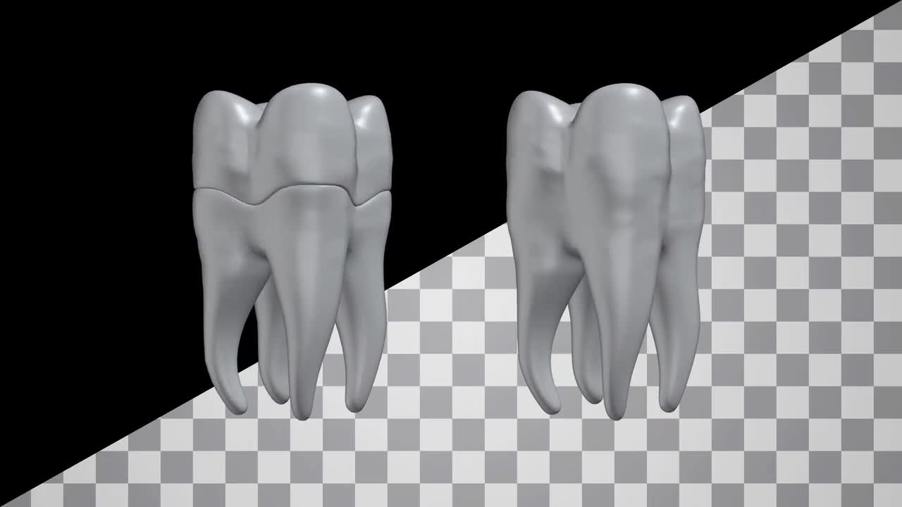 White Realistic Tooth - Stock Motion Graphics | Motion Array