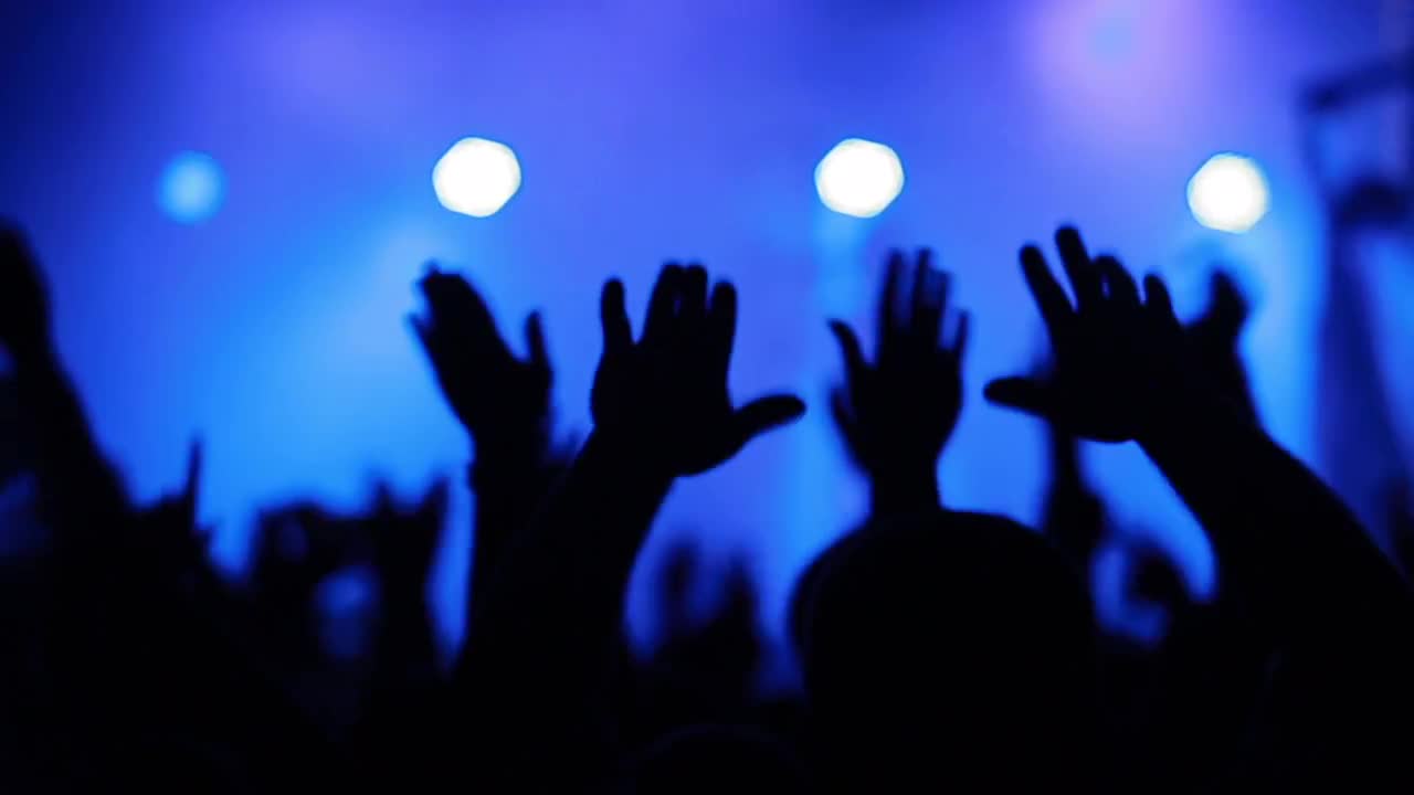 Crowd Dancing At Concert - Stock Video | Motion Array