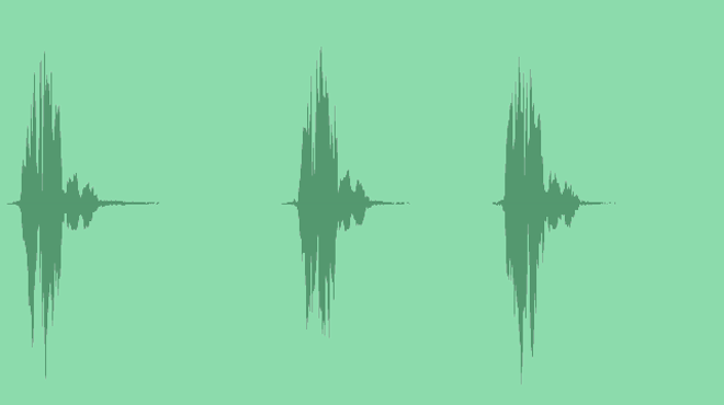 Horror Raven - Sound Effects | Motion Array