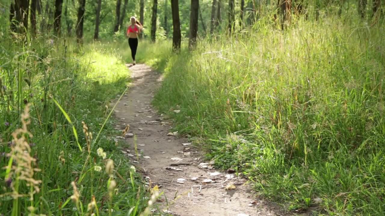 Running In The Forest - Stock Video | Motion Array