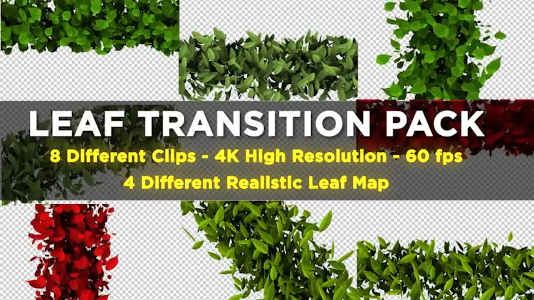 Rolling Leaves Transition Pack - Stock Motion Graphics | Motion Array