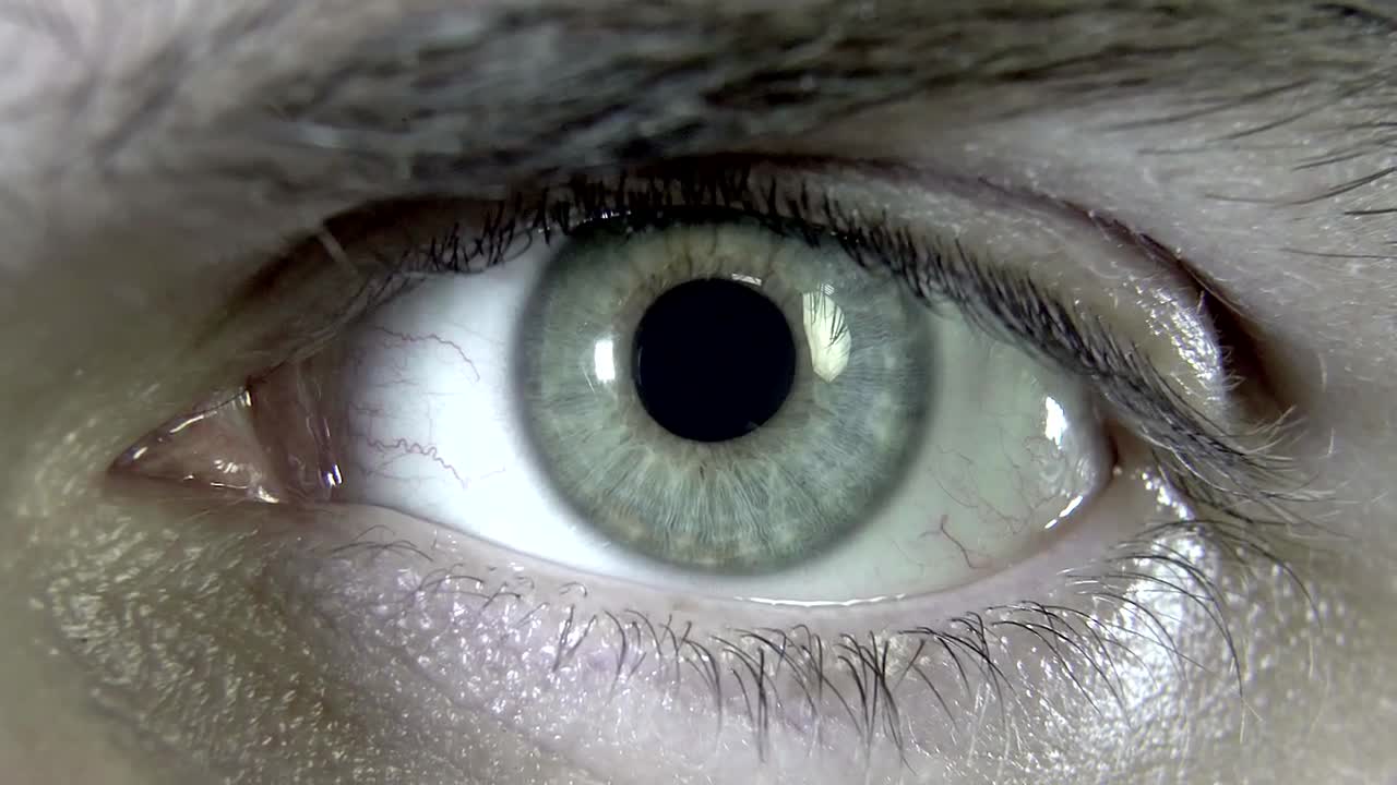 Expanding Pupil - Stock Video | Motion Array