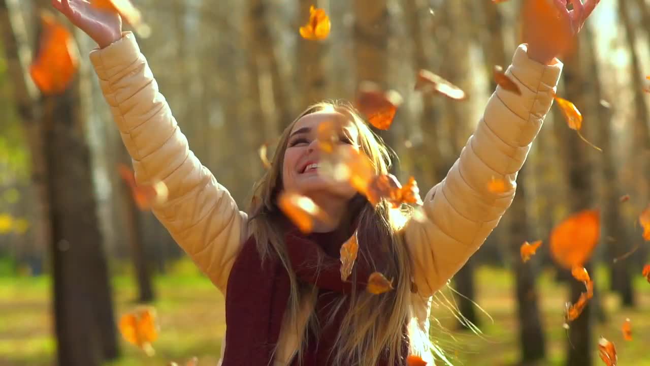 Falling Autumn Leaves - Stock Video | Motion Array