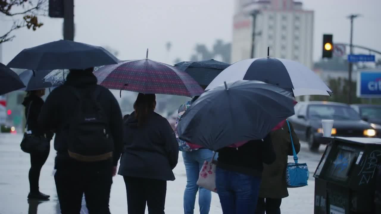 People With Umbrellas - Stock Video | Motion Array