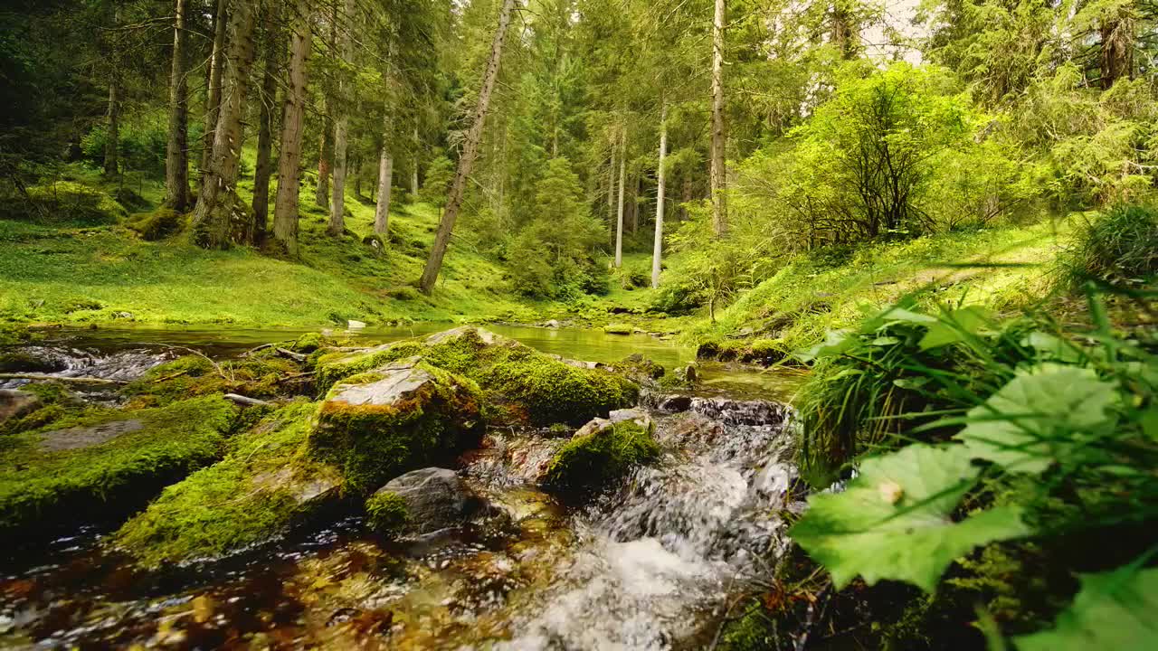 Beautiful View Of Lake And Forest, Austria - Stock Video | Motion Array