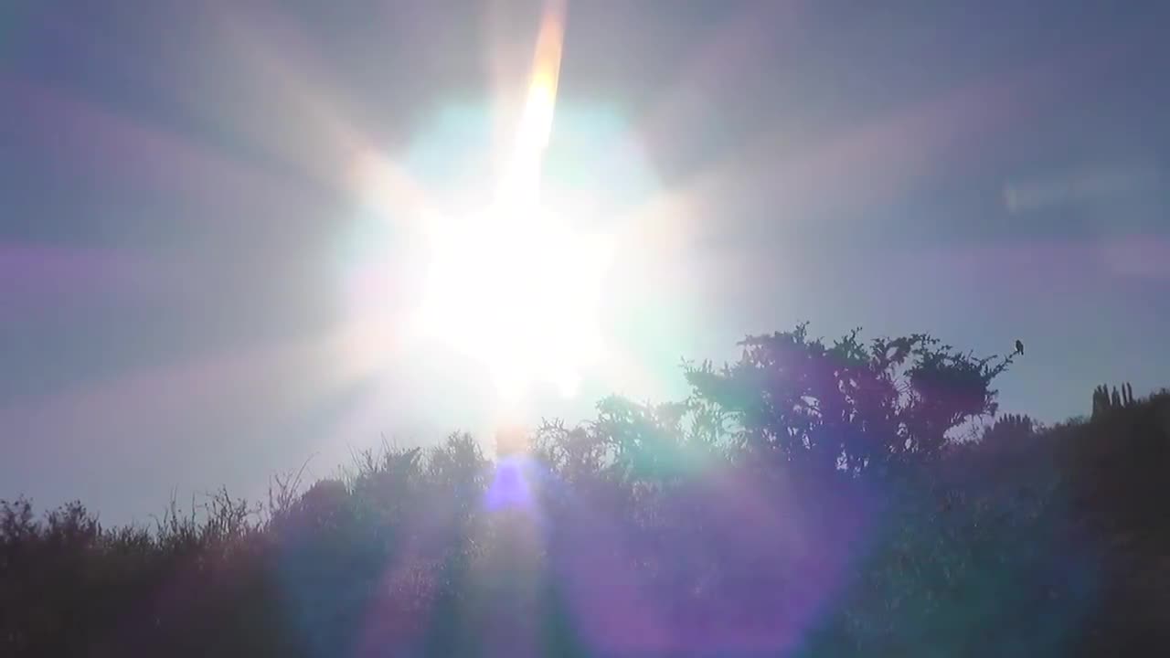Sun Flaring - Stock Video | Motion Array
