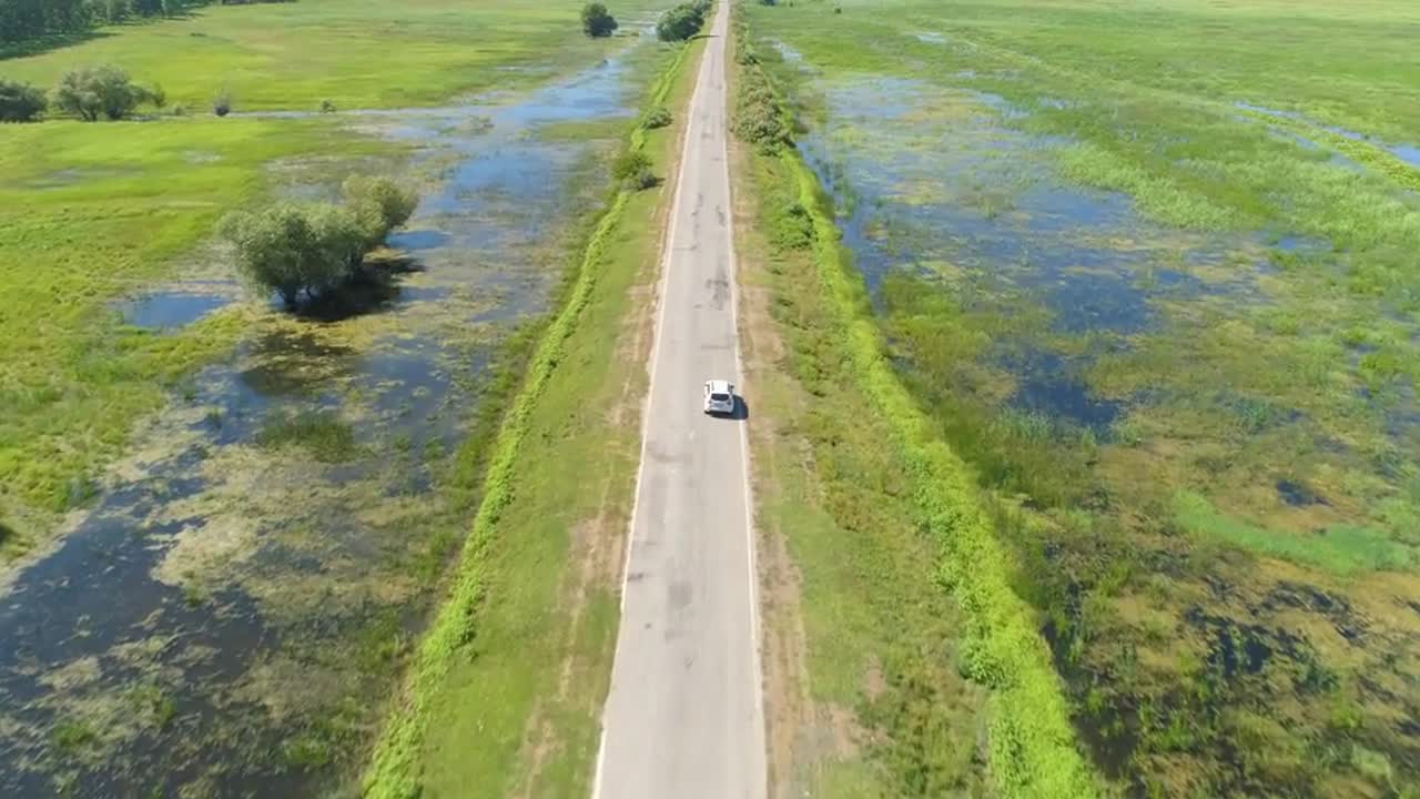 Car Driving Through Swamp - Stock Video | Motion Array