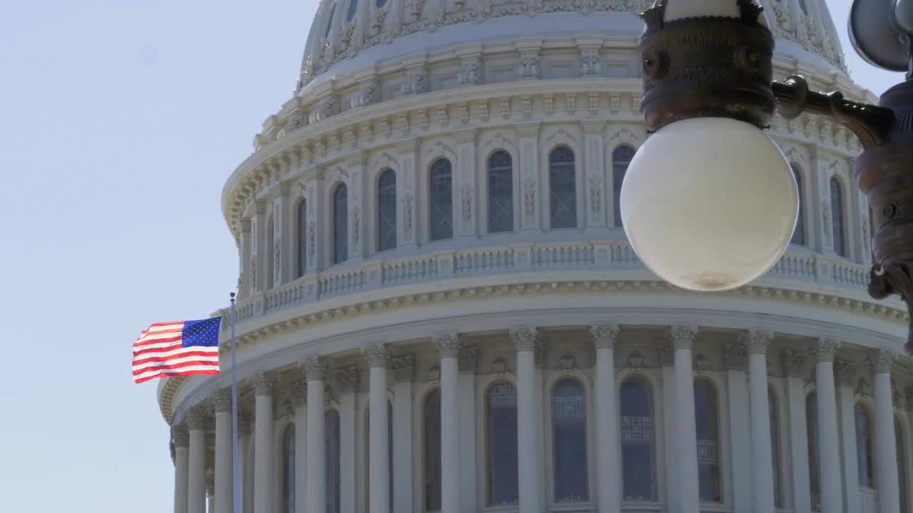 Flag Over Capitol Building