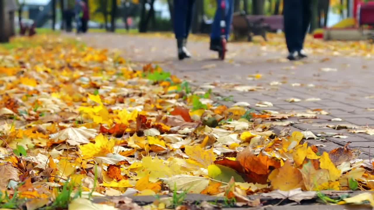 Busy Park In Autumn - Stock Video | Motion Array
