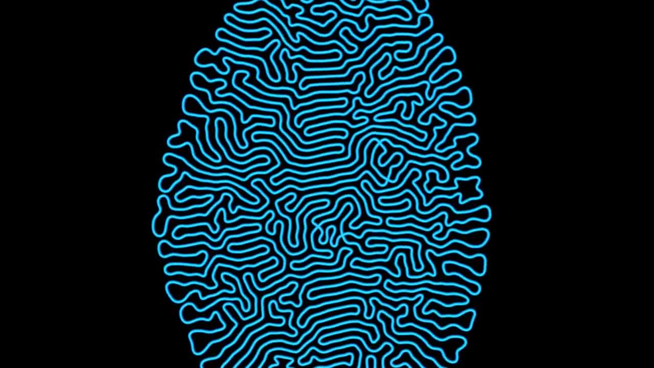 Growing Lines - Stock Motion Graphics | Motion Array