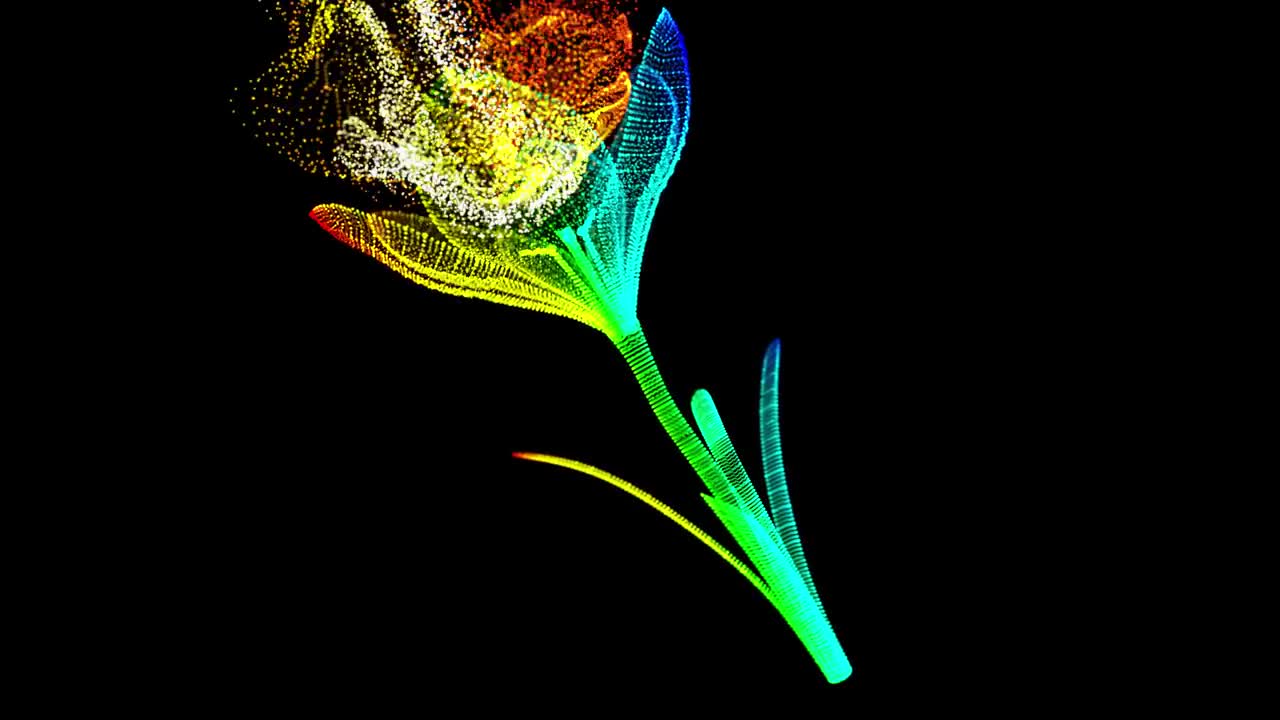Colorful Flower - Stock Motion Graphics | Motion Array