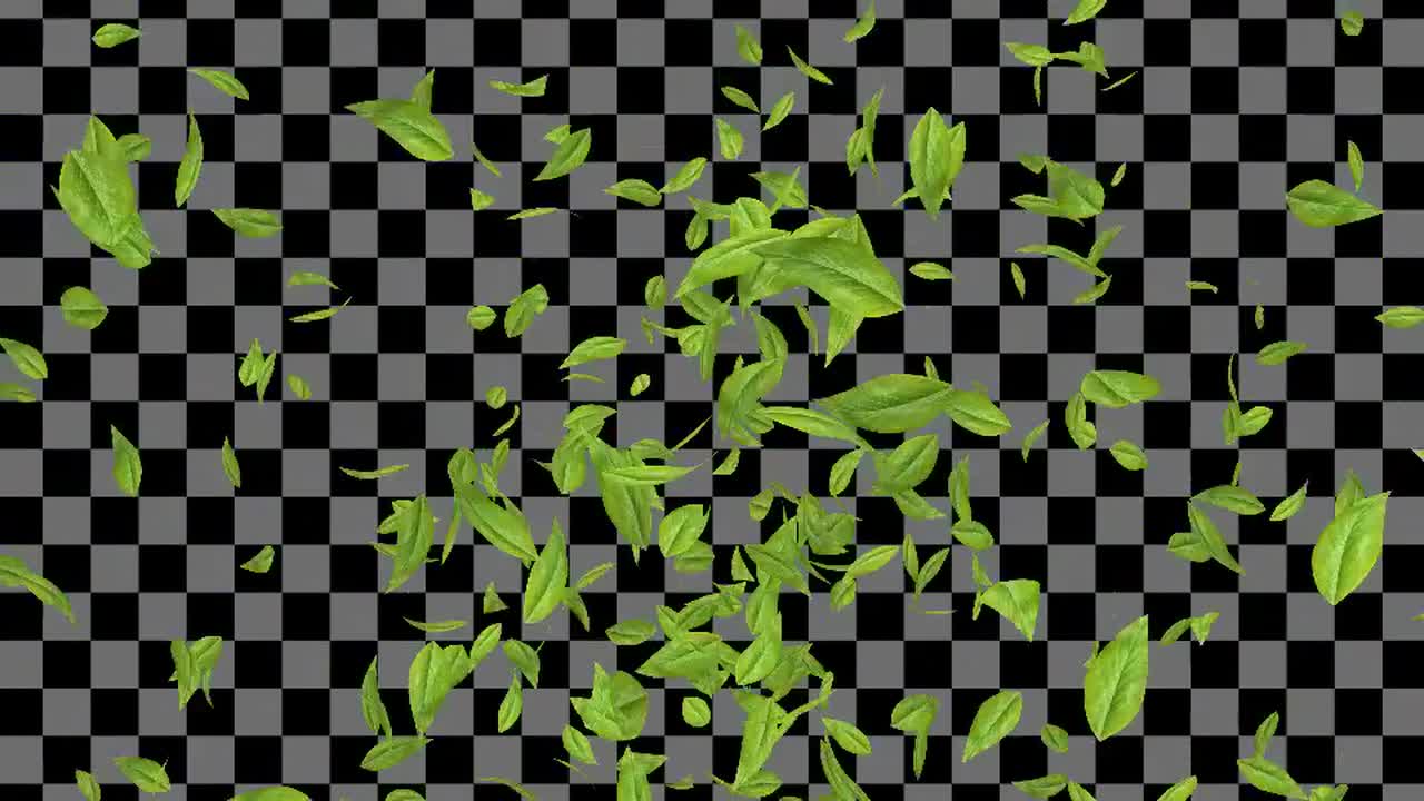 Leaf Confetti Pack - Stock Motion Graphics | Motion Array