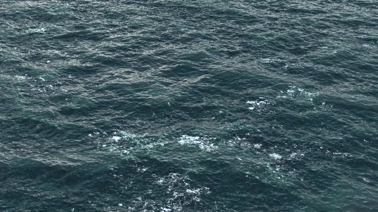 Open Ocean - Stock Motion Graphics | Motion Array