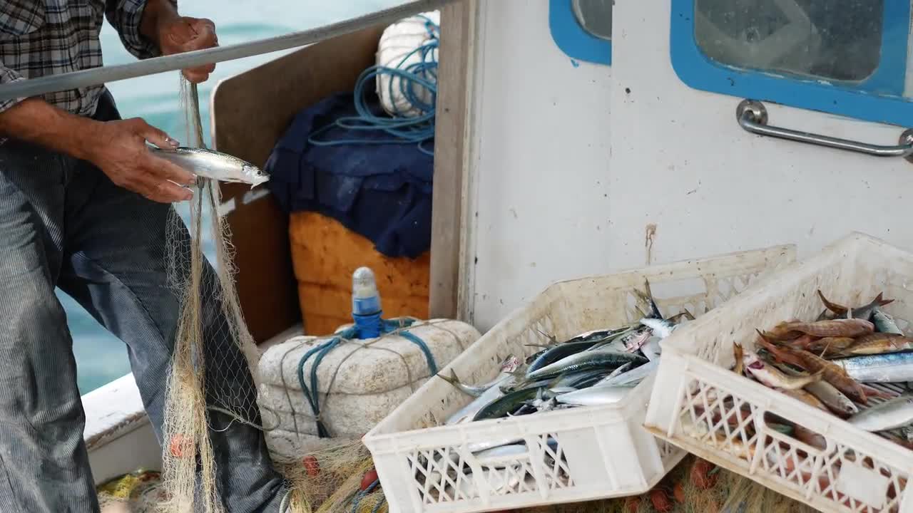 Harvesting Fish Net - Stock Video | Motion Array
