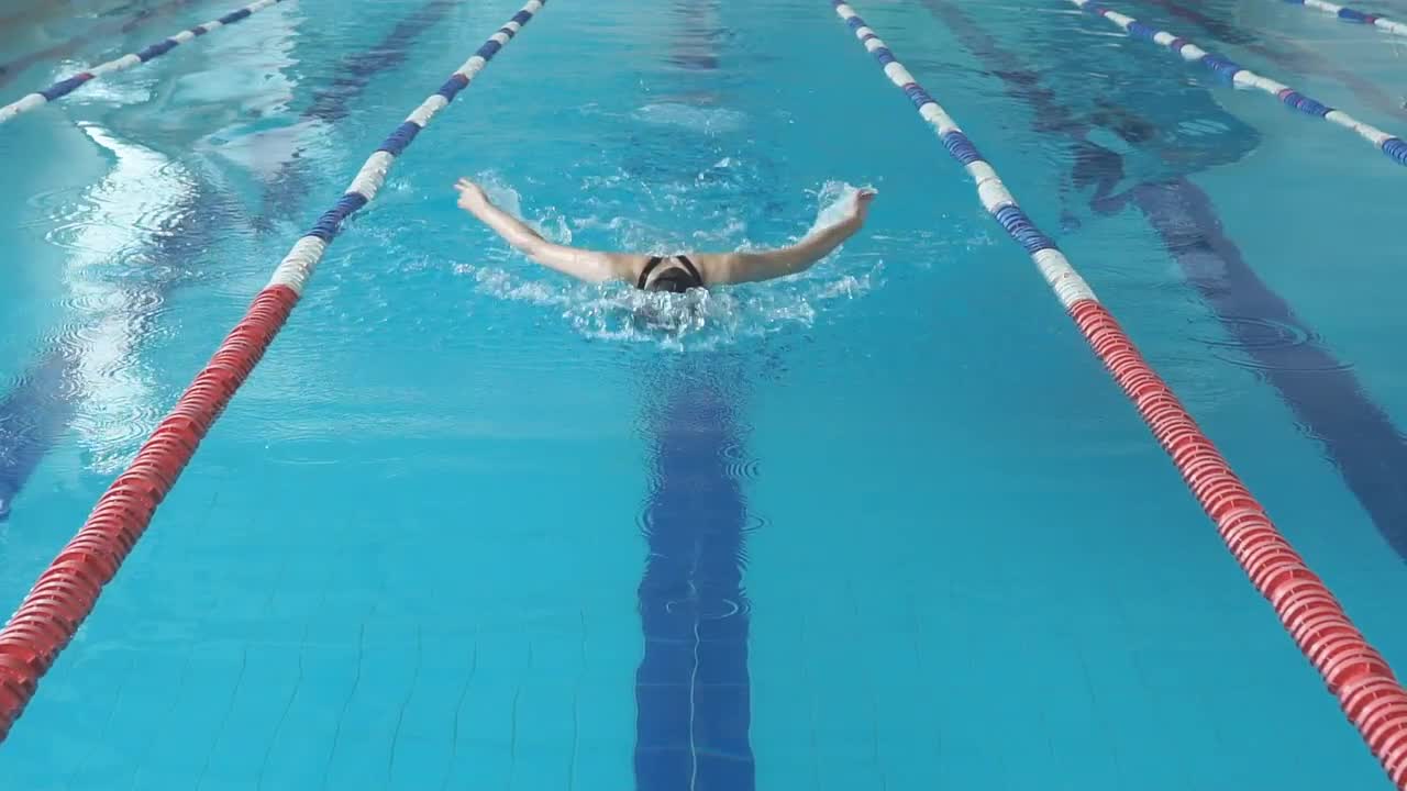 Butterfly Stroke Swimming - Stock Video | Motion Array