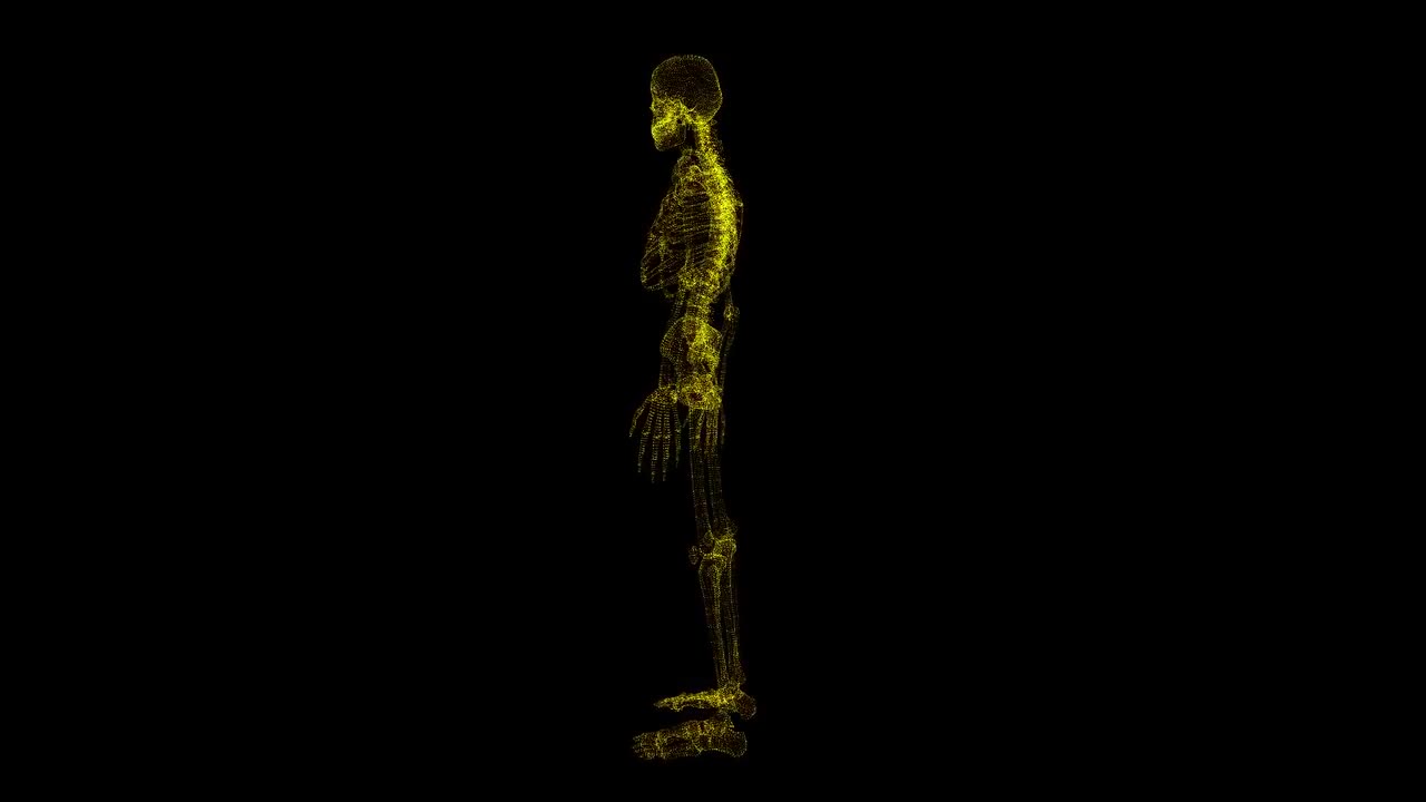 Skeleton Hologram - Stock Motion Graphics | Motion Array