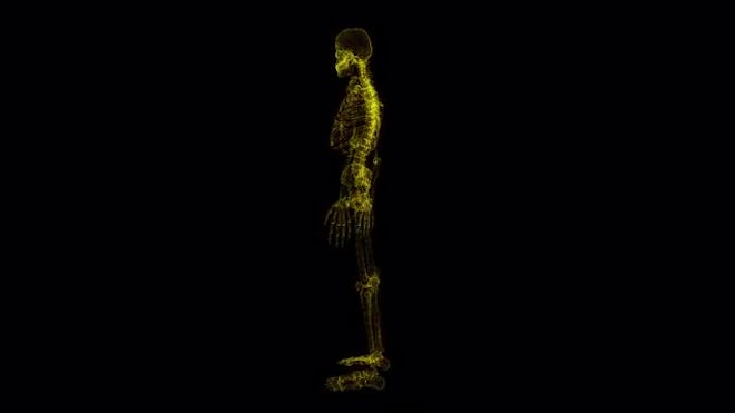 Skeleton Hologram - Stock Motion Graphics | Motion Array