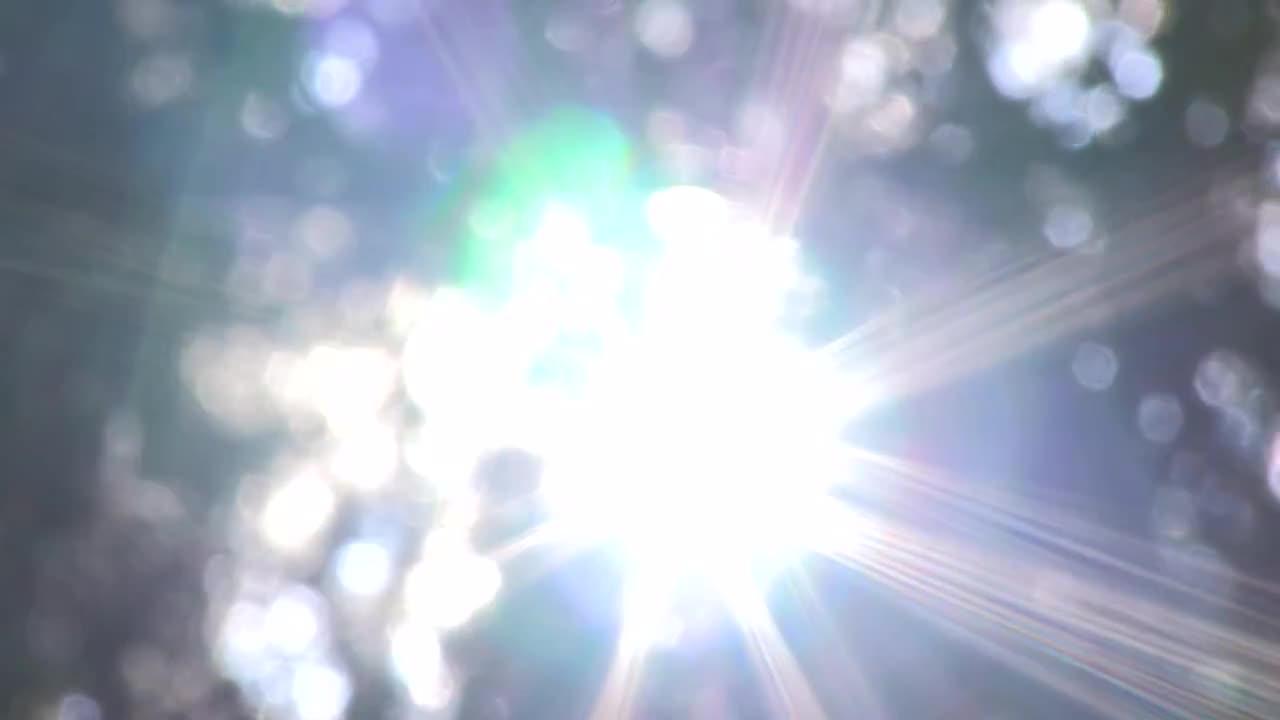 Blurred Sunlight - Stock Video | Motion Array