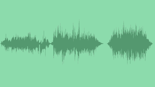 Pyrotechnics Beetle - Sound Effects | Motion Array