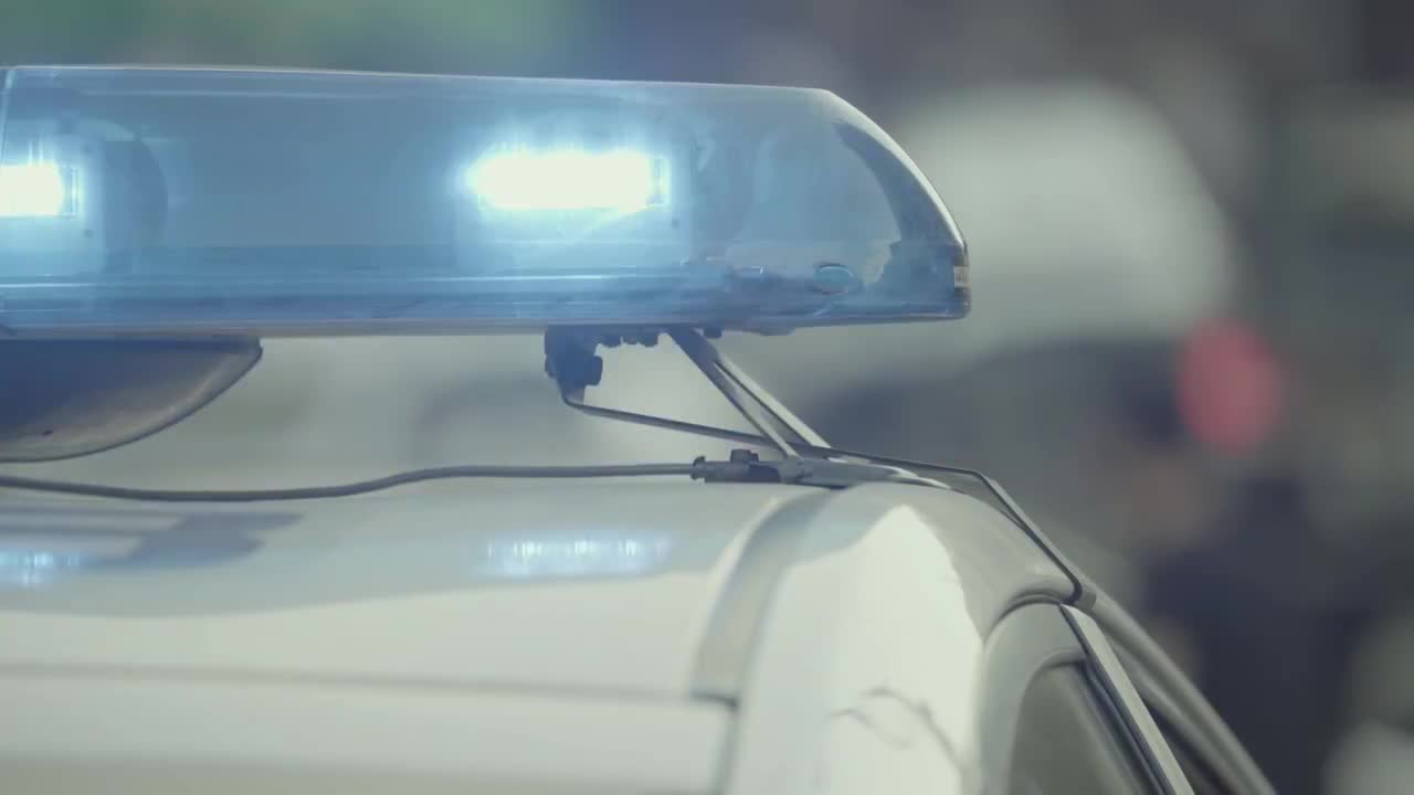Flashing Police Lights - Stock Video | Motion Array