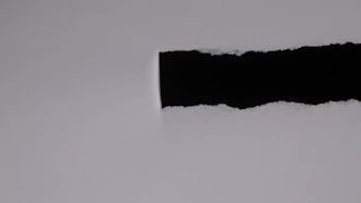 Paper Tear 07 - Stock Video | Motion Array