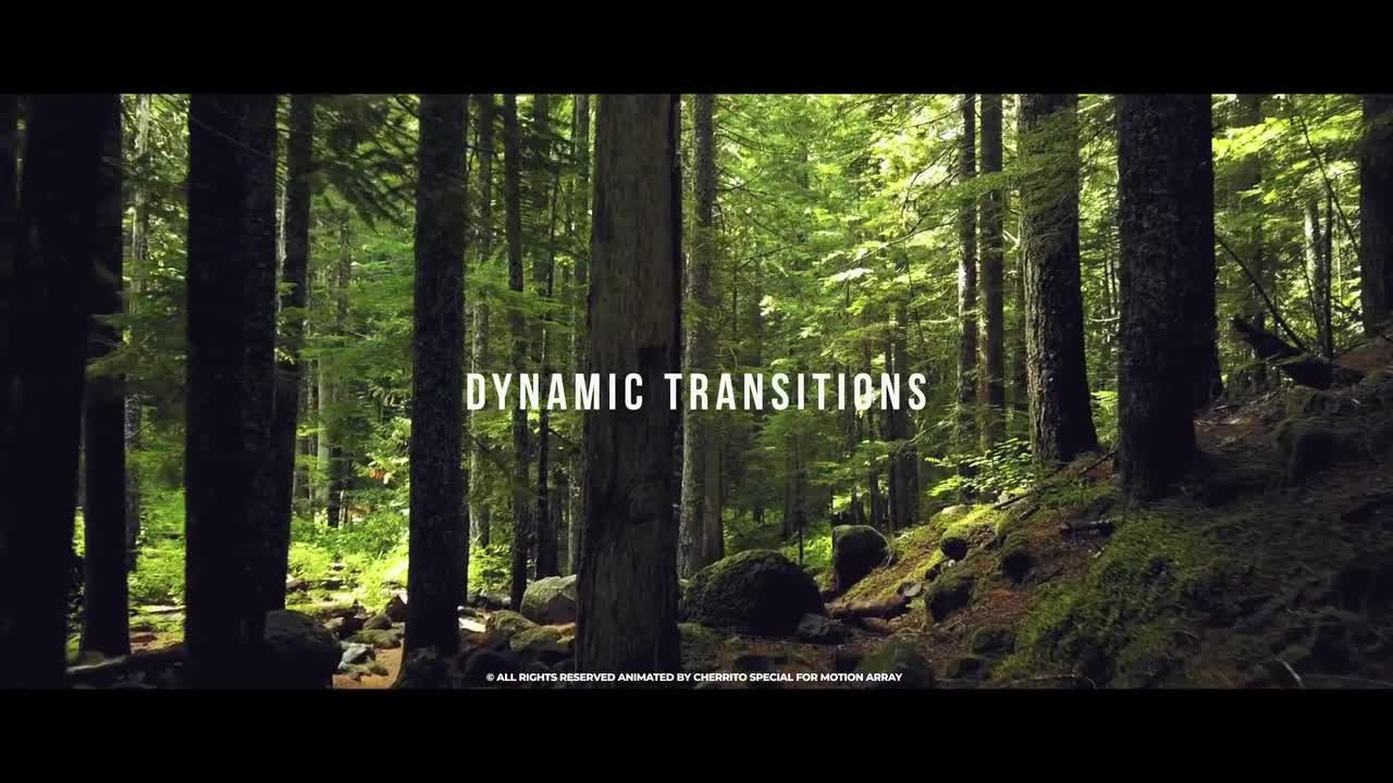 Dynamic Transitions - After Effects Templates | Motion Array
