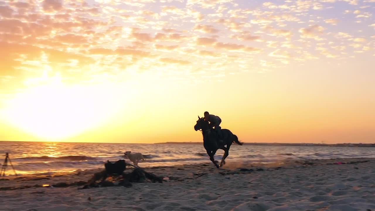 Riding Horseback Along Beach - Stock Video | Motion Array