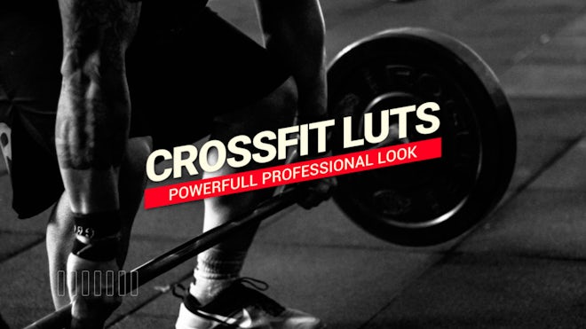 Best Creative LUTs for your projects | Motion Array