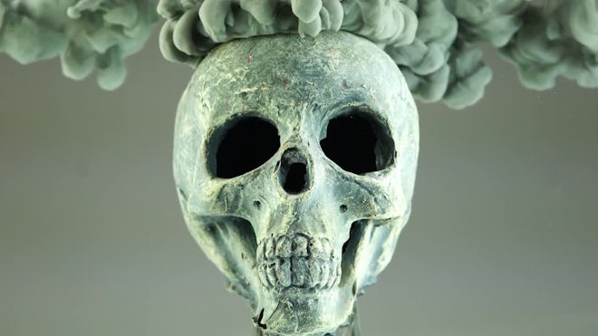 Most Recommended Adobe After Effects Presets | Motion Array