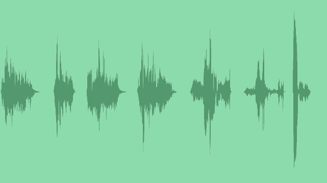 Bat - Sound Effects | Motion Array