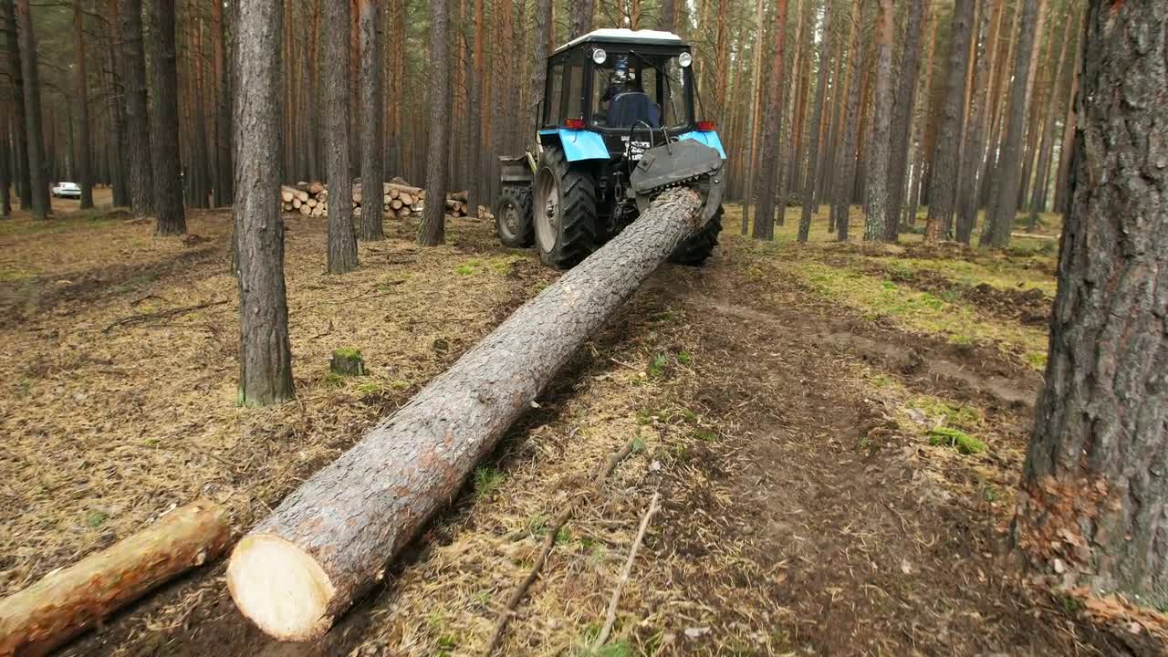 Skidder Pulling Log - Stock Video | Motion Array