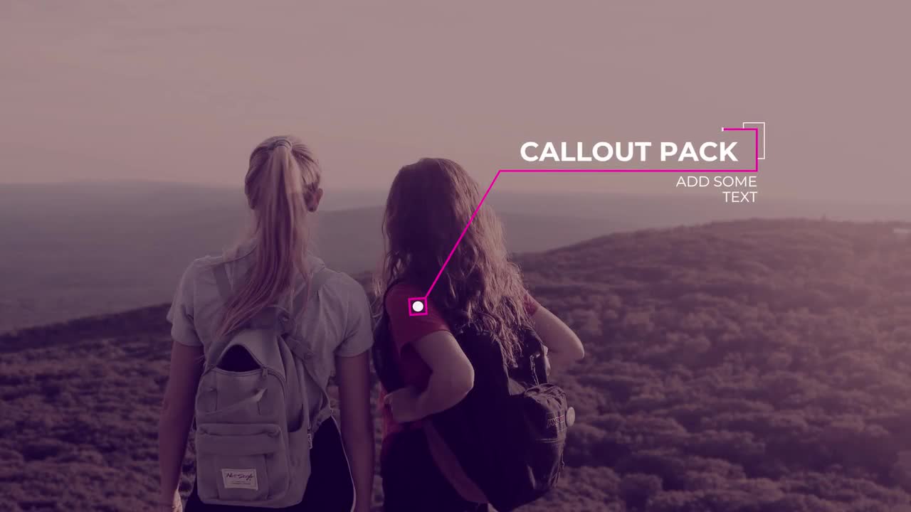 Elegant Minimal Callouts - Premiere Pro Templates | Motion Array