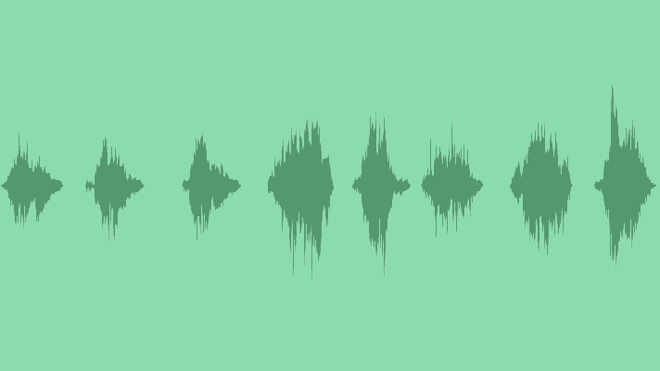 Short Zipper Sound - Sound Effects | Motion Array