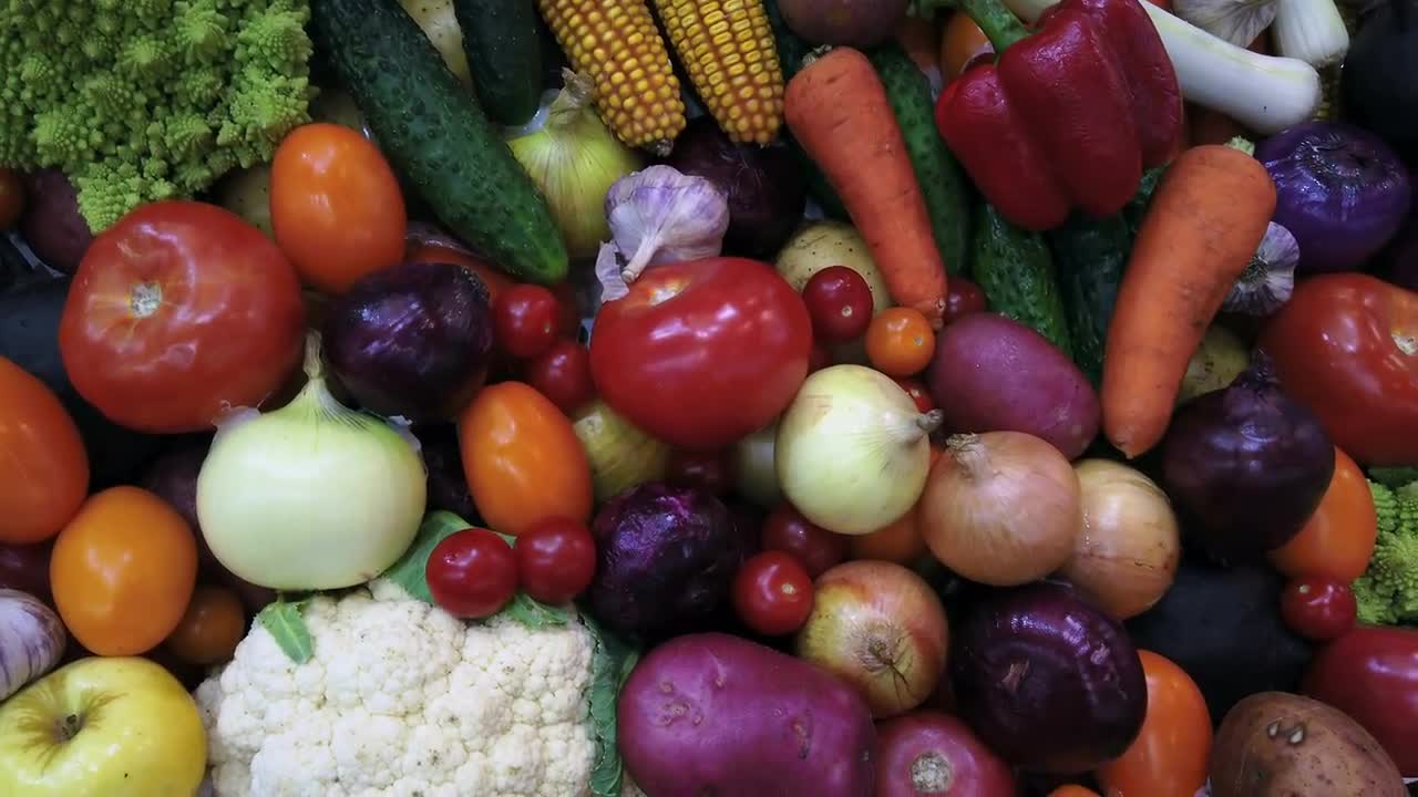 Autumn Harvest Of Vegetables - Stock Video | Motion Array
