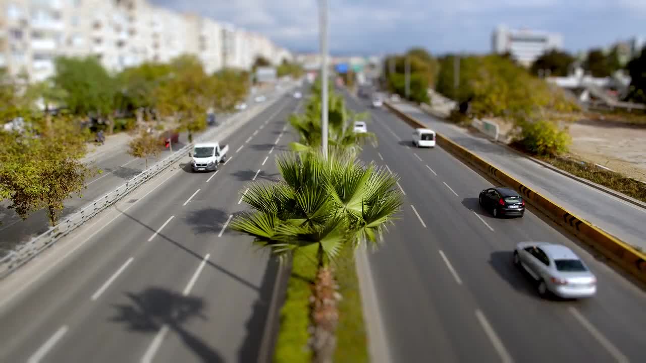 Palm Tree Highway - Stock Video | Motion Array