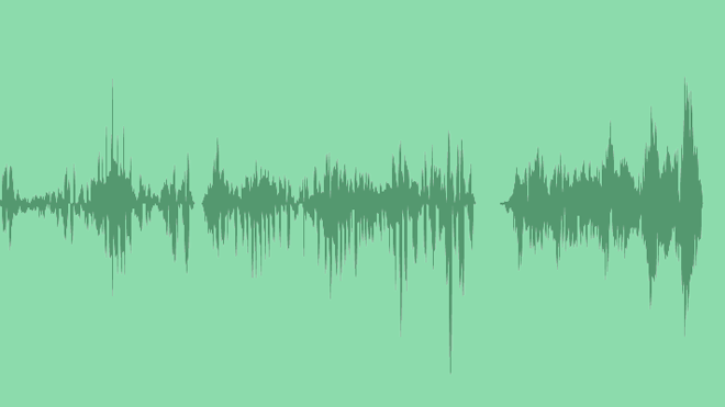 Fly Buzzing Around Head - Sound Effects | Motion Array