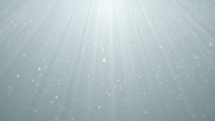 Particles White Background - Stock Motion Graphics | Motion Array