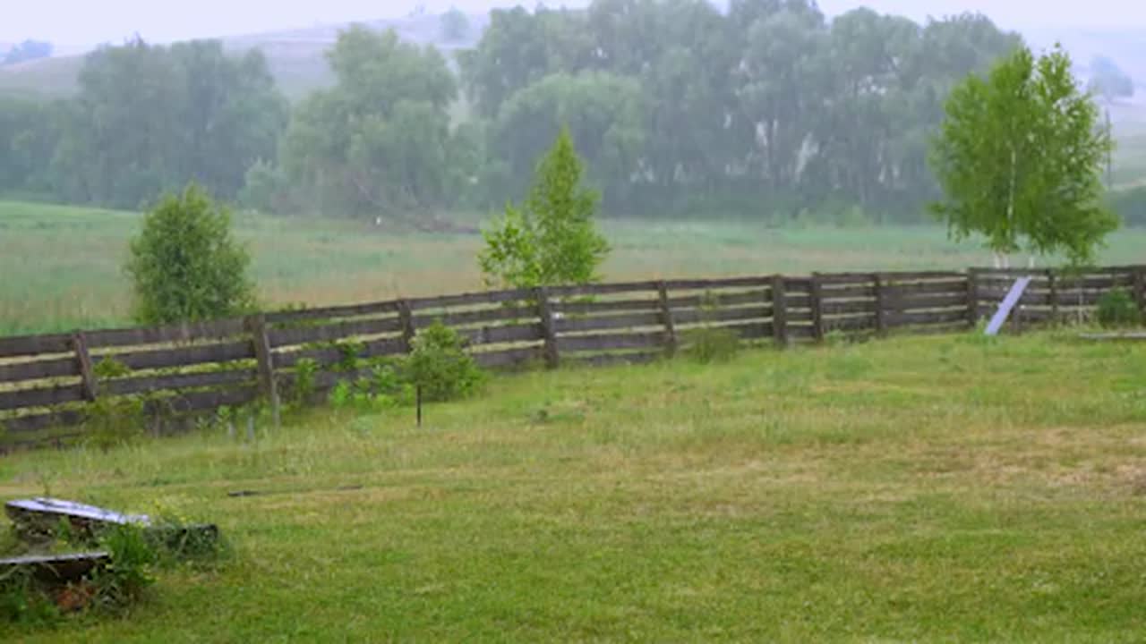 Paddock Rainfall - Stock Video | Motion Array