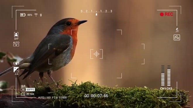 Camera Recording Screens - Stock Motion Graphics | Motion Array