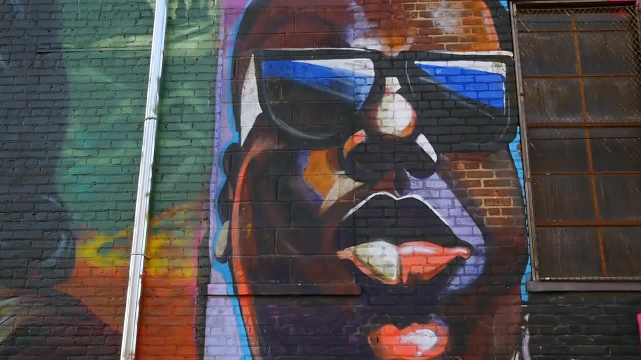 Street Art Of Rapper - Stock Video | Motion Array