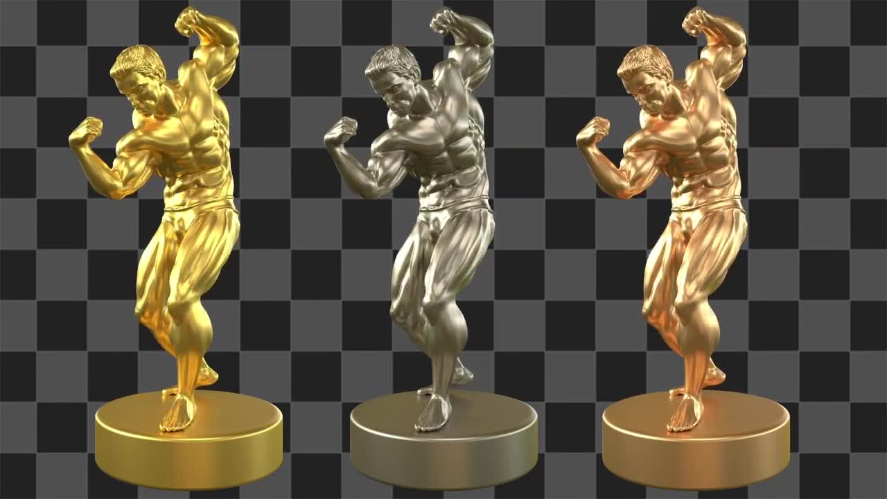 Mr. Universe Award - Stock Motion Graphics | Motion Array