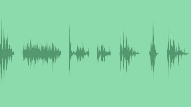 Big Buzzing House Fly SFX Pack - Sound Effects | Motion Array