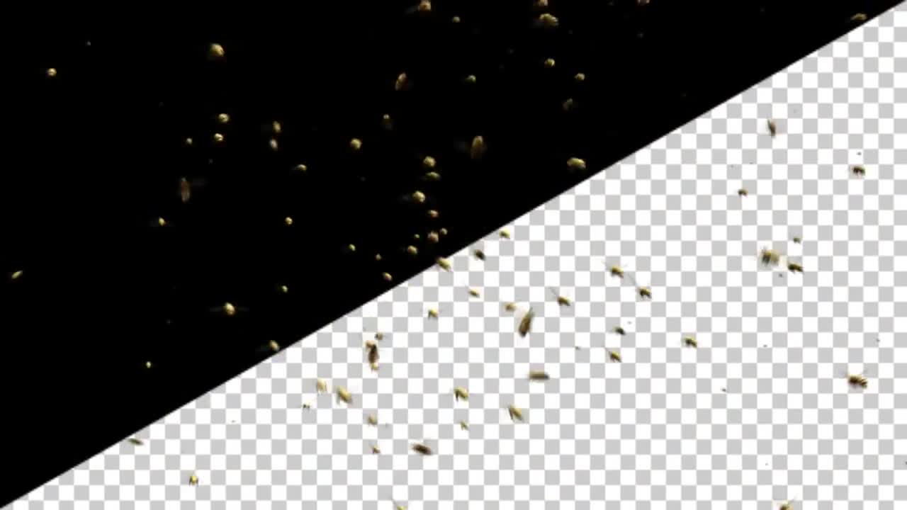 Swarming Bees - Stock Motion Graphics | Motion Array