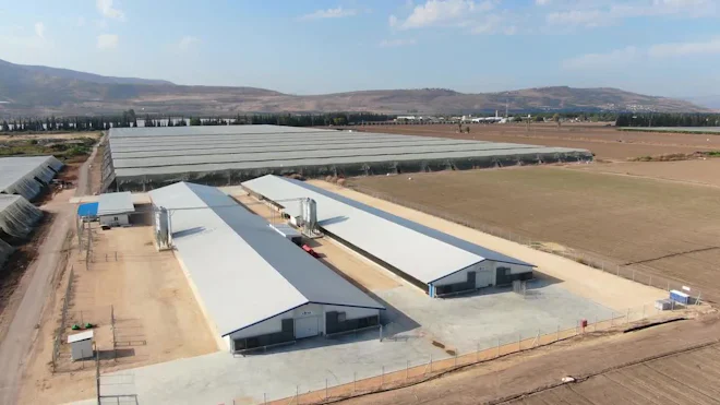 Industrial Chicken Barns China Poultry House Manufacturers, Suppliers