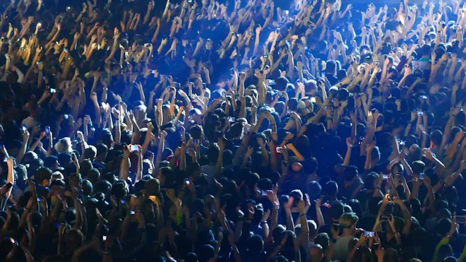 Happy Audience At A Concert