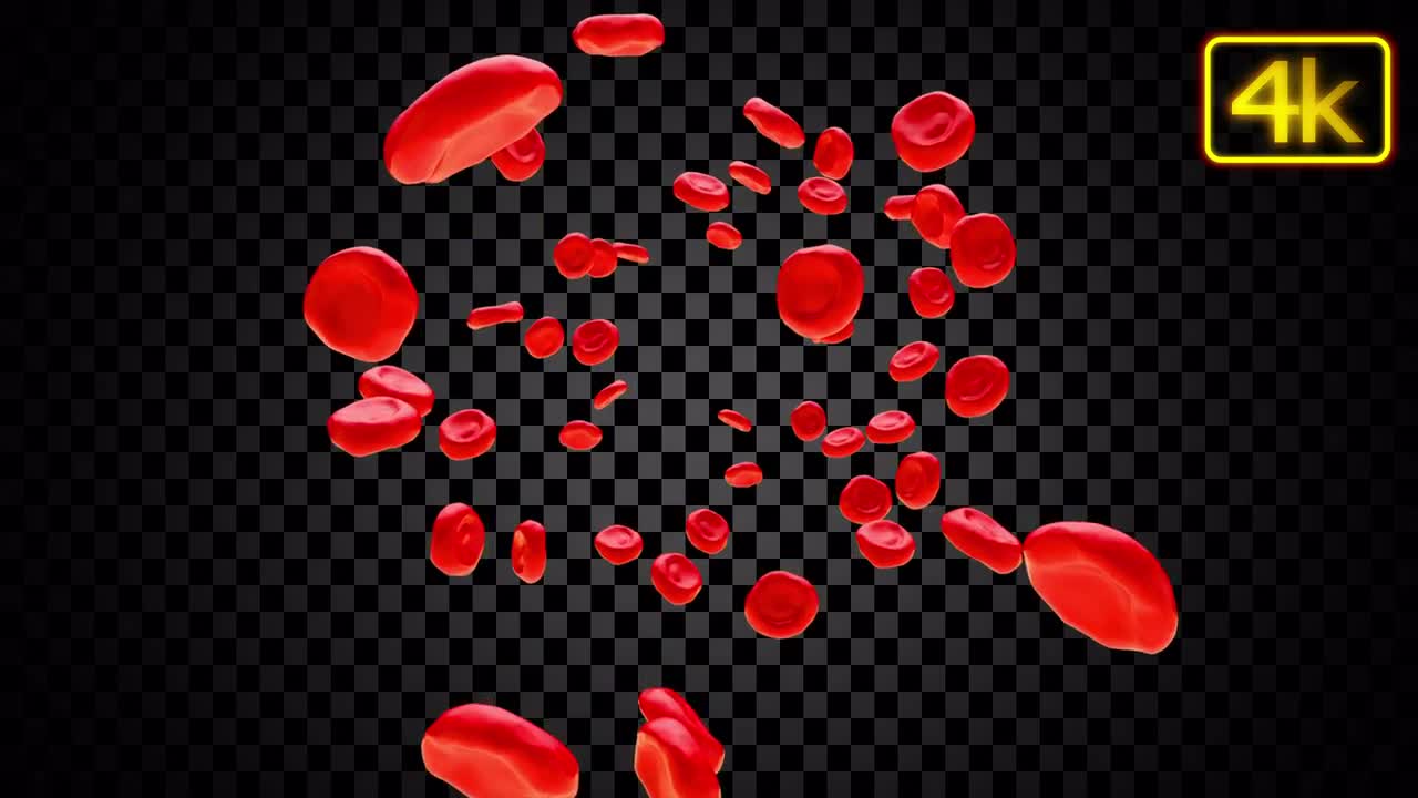 Red Blood Cells - Stock Motion Graphics | Motion Array