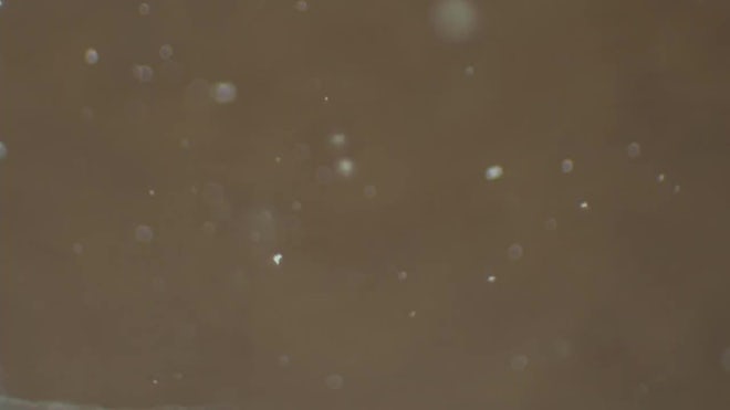 Stock Video Dust | Motion Array