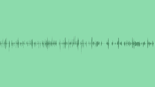 African Sparrow Chirp Loop - Sound Effects | Motion Array